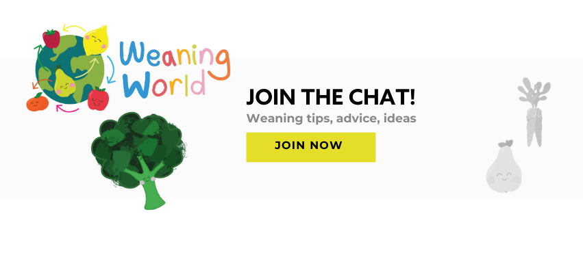 Recipes 9 Months Plus - weaningworld.com