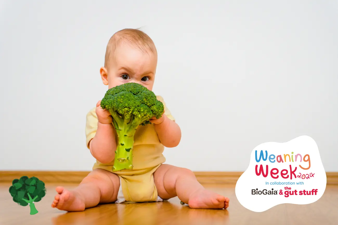 Weaning, gut health and baby probiotics: The ultimate guide for parents ...